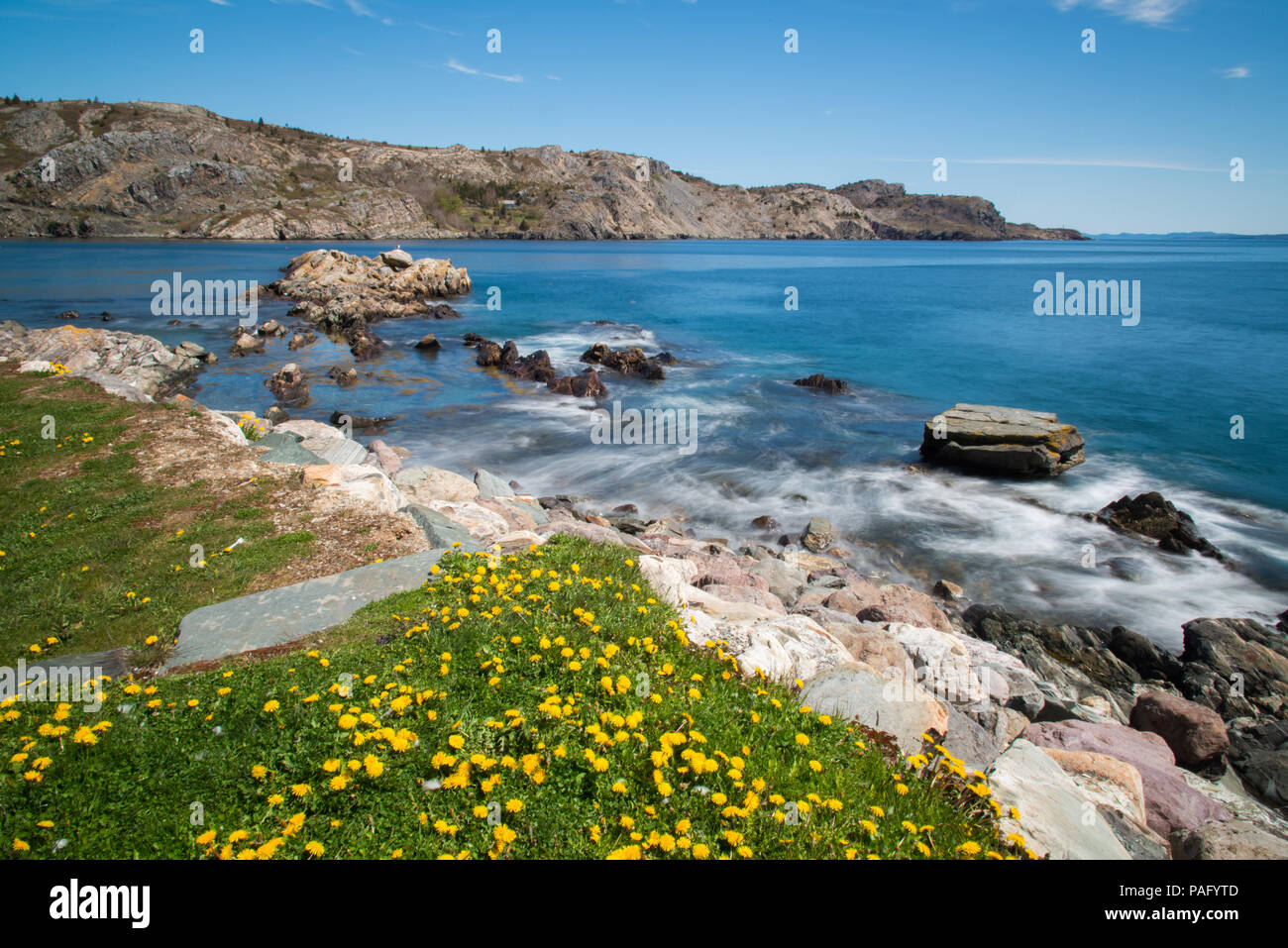 Newfoundland coastal scenery Stock Photo - Alamy