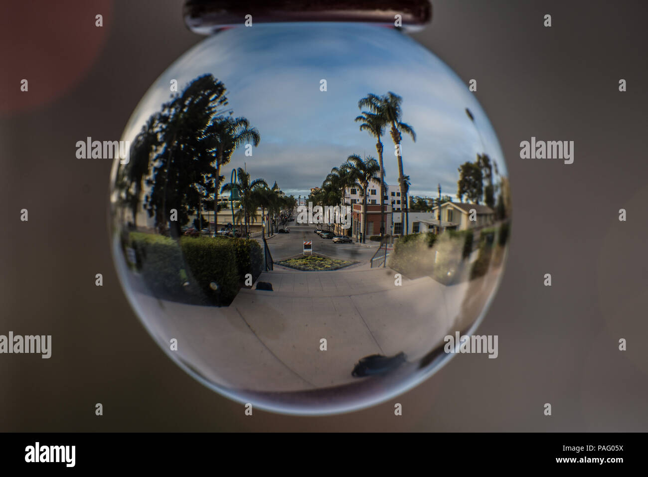 Fish eye view of downtown street route between buildings and palm trees ...