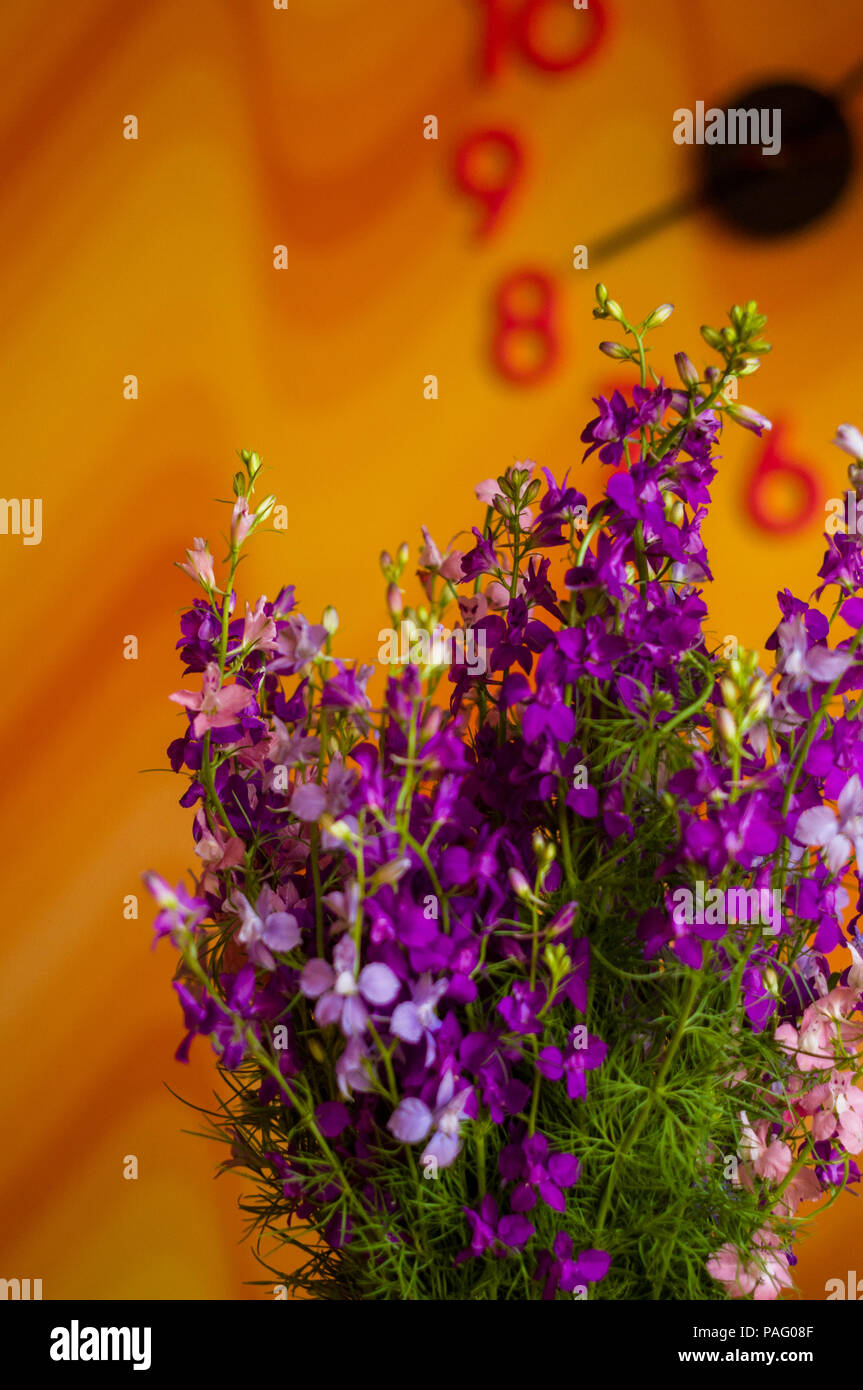 a colorful bouquet of bright spring flowers of various types, close-up ...