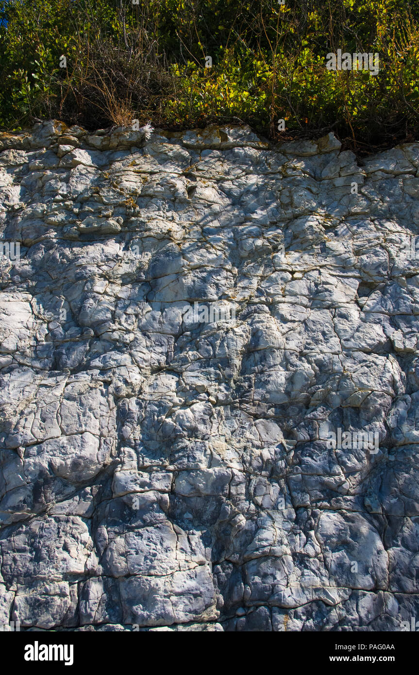 rock formations and stones of the sea coast, weathered and smoothed by ...
