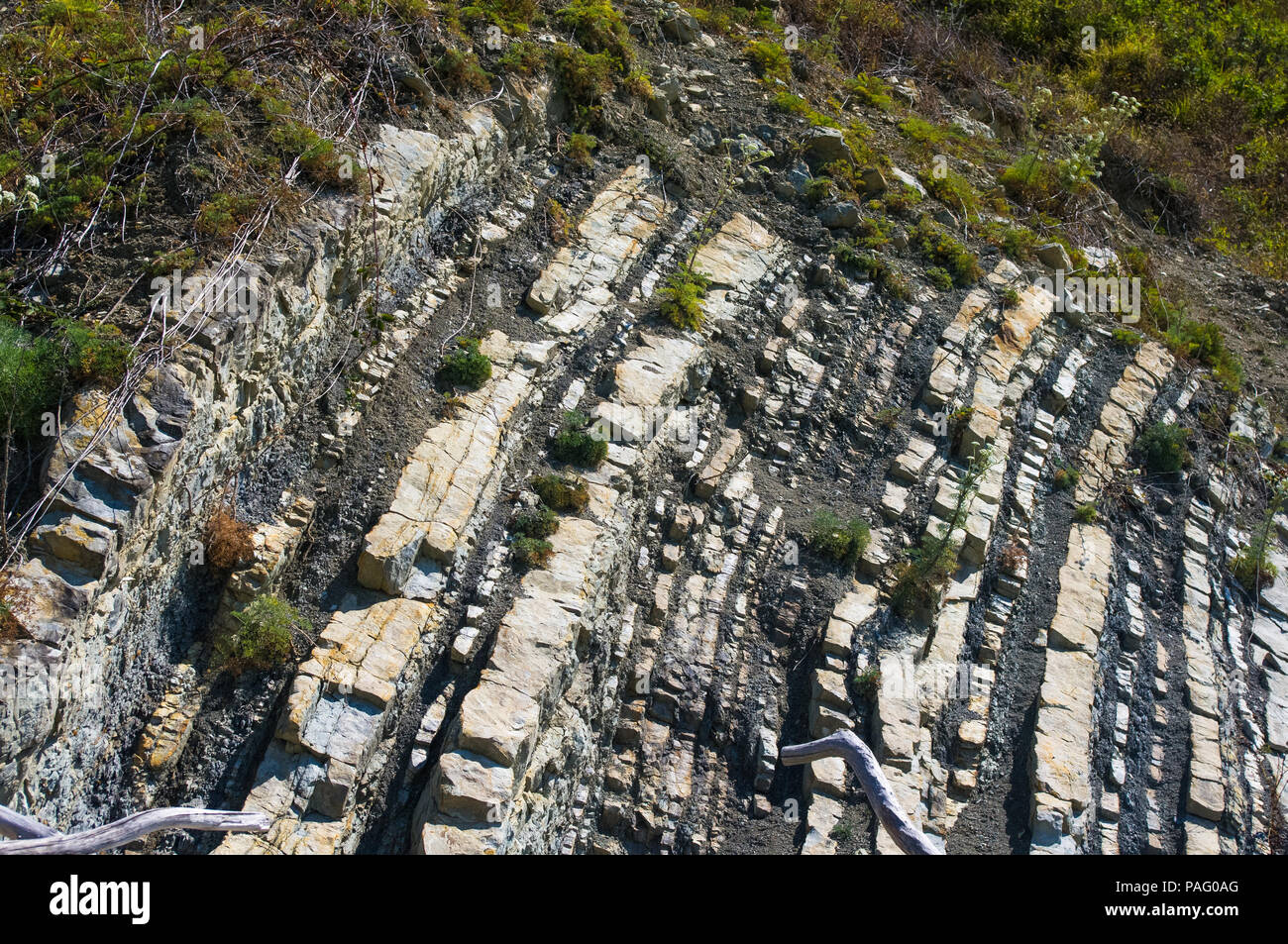 rock formations and stones of the sea coast, weathered and smoothed by ...
