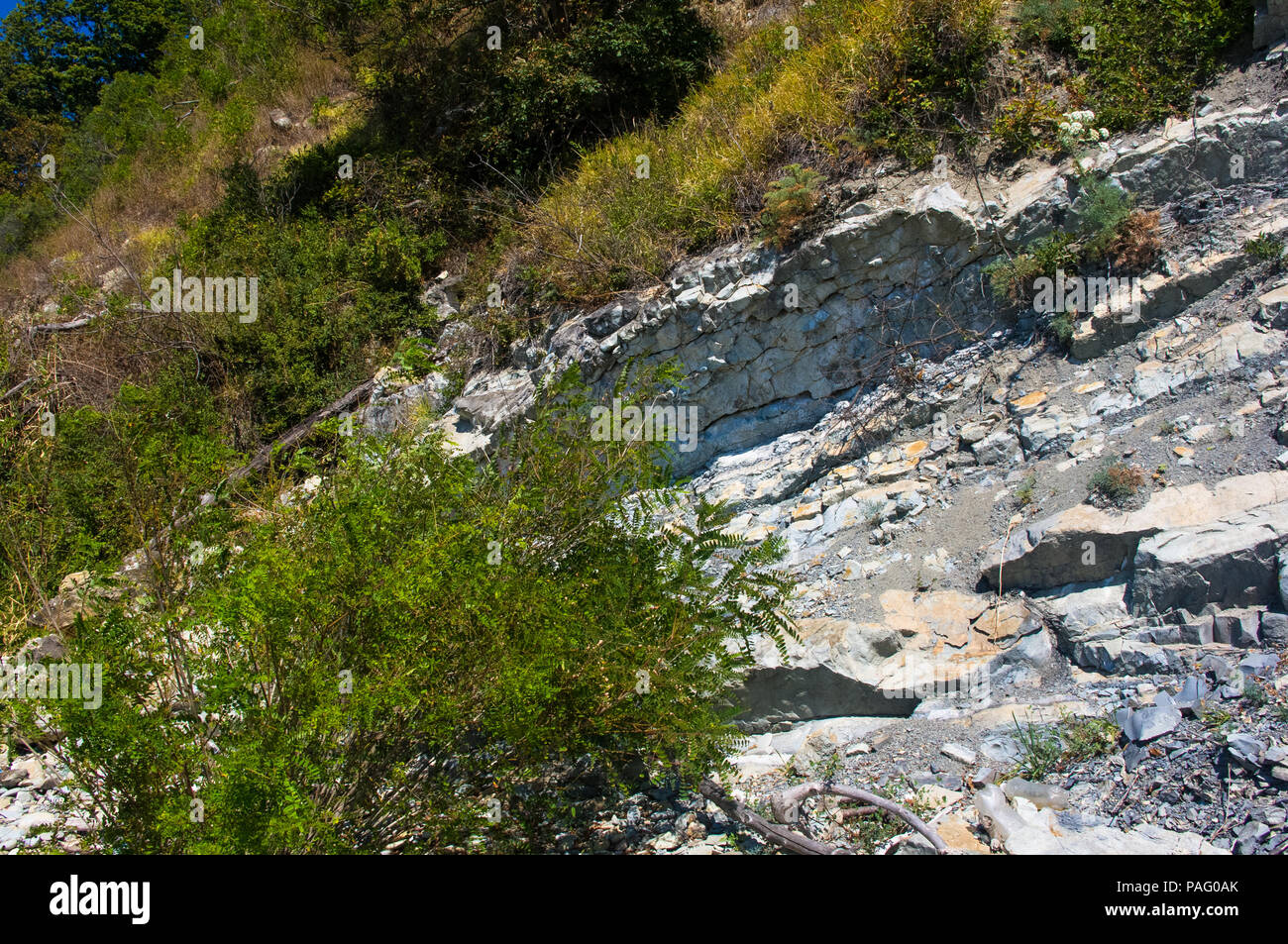rock formations and stones of the sea coast, weathered and smoothed by ...