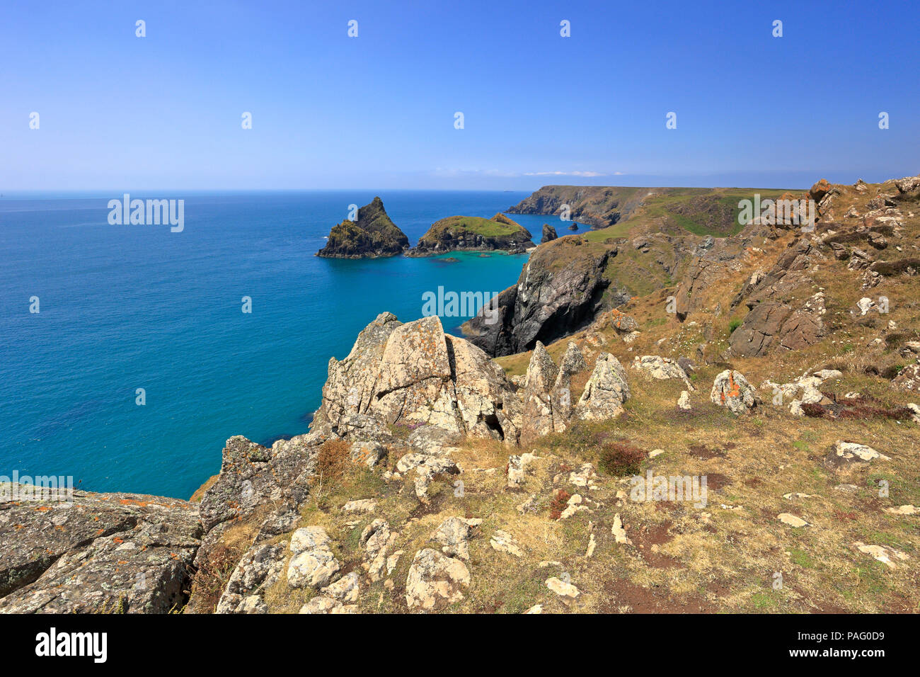The sea stacks off Kynance Cove from the South West Coast Path on ...