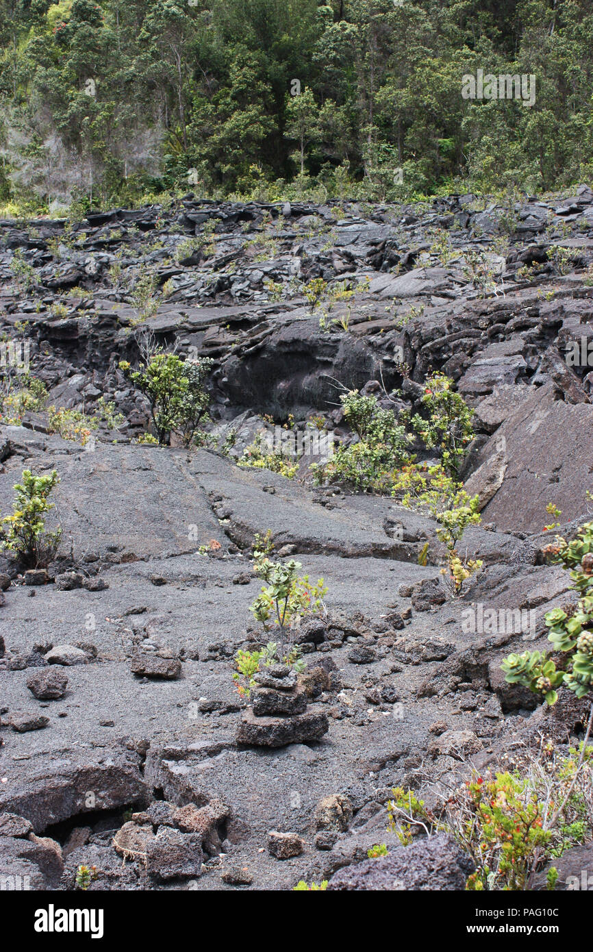 The tumultuous floor of the Kilauea Iki Crater, hardened lava with ...