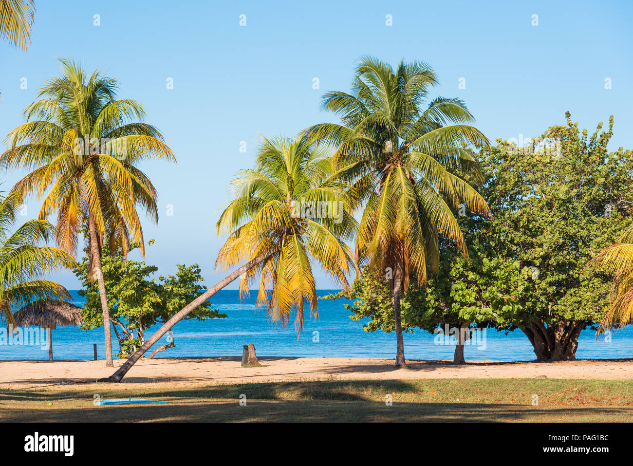 View of the cuban landscape, Cuba, Havana. Copy space for text Stock ...