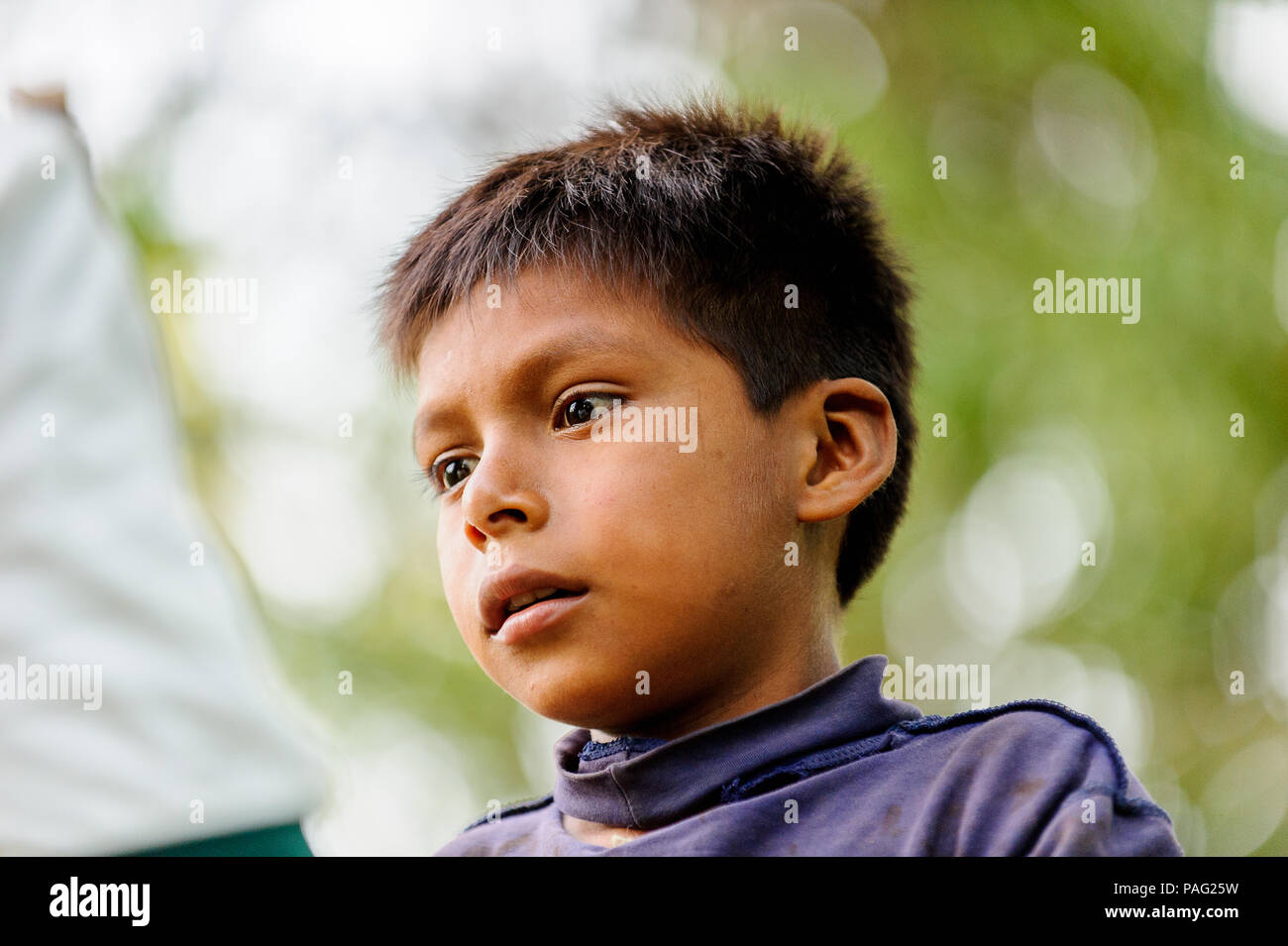 AMAZONIA, PERU - NOV 10, 2010: Unidentified Amazonian boy portrait ...