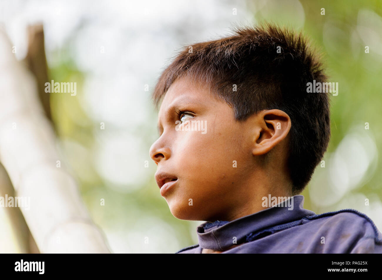 AMAZONIA, PERU - NOV 10, 2010: Unidentified Amazonian boy portrait ...