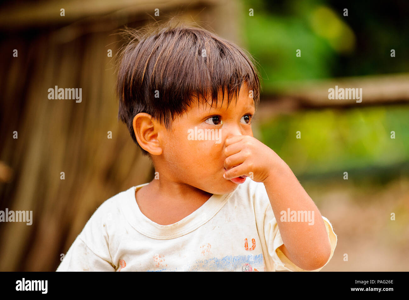 AMAZONIA, PERU - NOV 10, 2010: Unidentified Amazonian indigenous boy ...