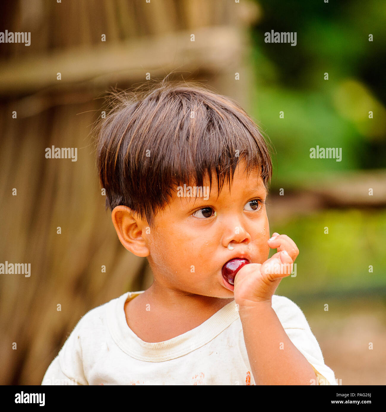 AMAZONIA, PERU - NOV 10, 2010: Unidentified Amazonian indigenous boy ...