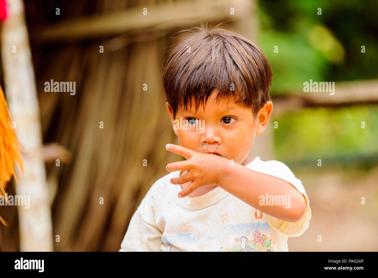 AMAZONIA, PERU - NOV 10, 2010: Unidentified Amazonian indigenous boy ...