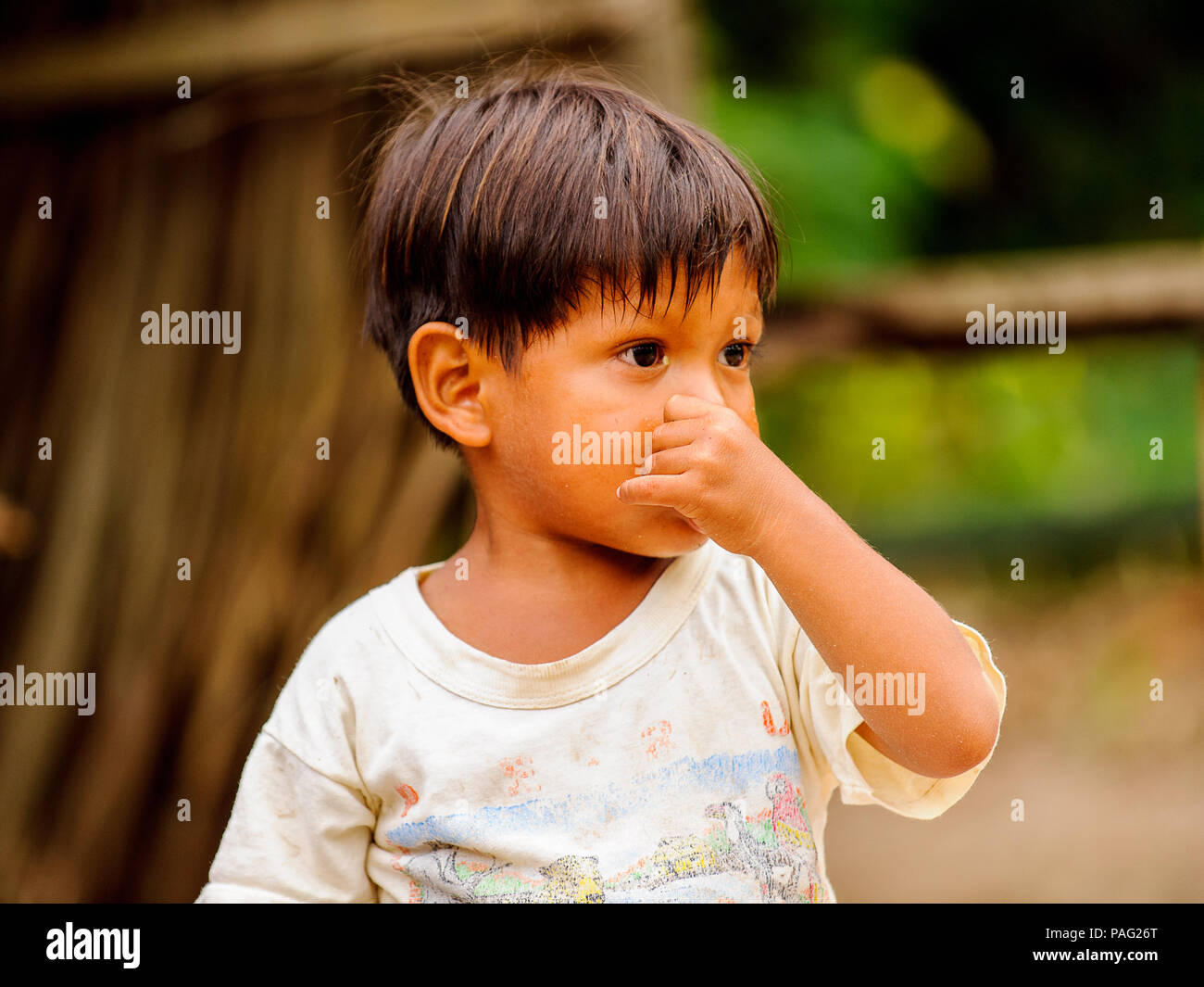 AMAZONIA, PERU - NOV 10, 2010: Unidentified Amazonian indigenous boy ...