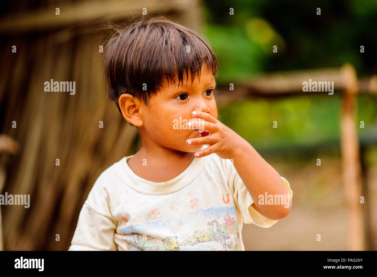 AMAZONIA, PERU - NOV 10, 2010: Unidentified Amazonian indigenous boy ...