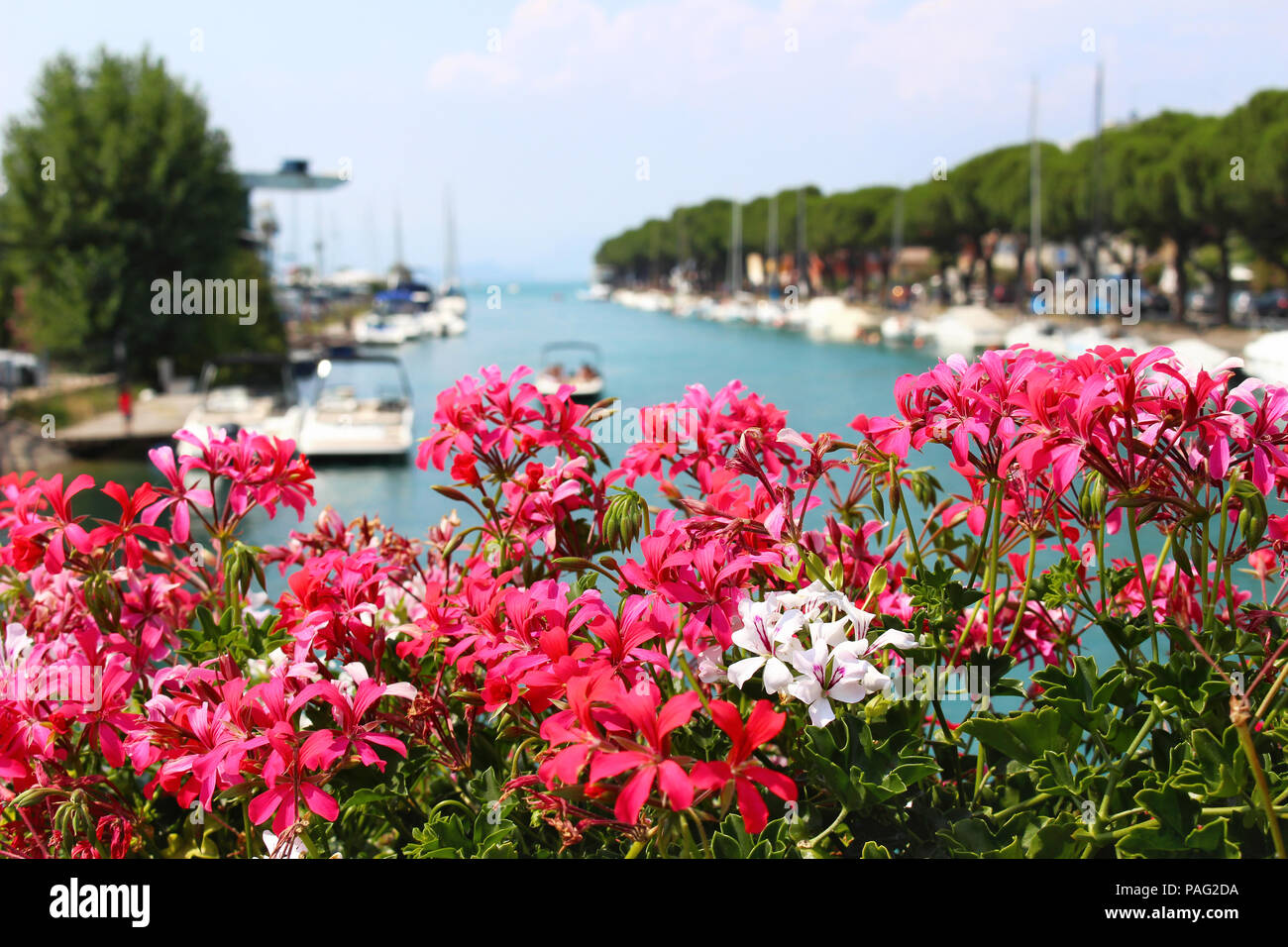 Geranium Lake High Resolution Stock Photography and Images - Alamy