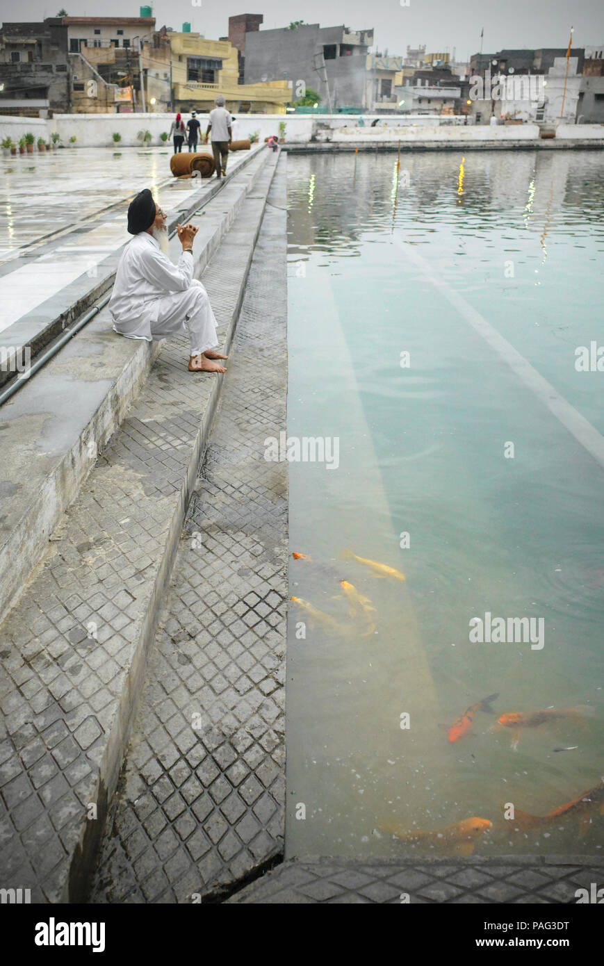 Bibeksar, one of Amritsar's five sarovars (sacred pools Stock Photo - Alamy