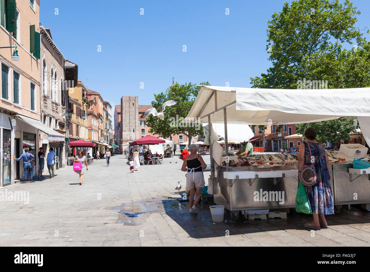 Venetian lady shopping at a fishmongers stall, Campo Santa Margherita, Dorsoduro, Venice, Veneto ...