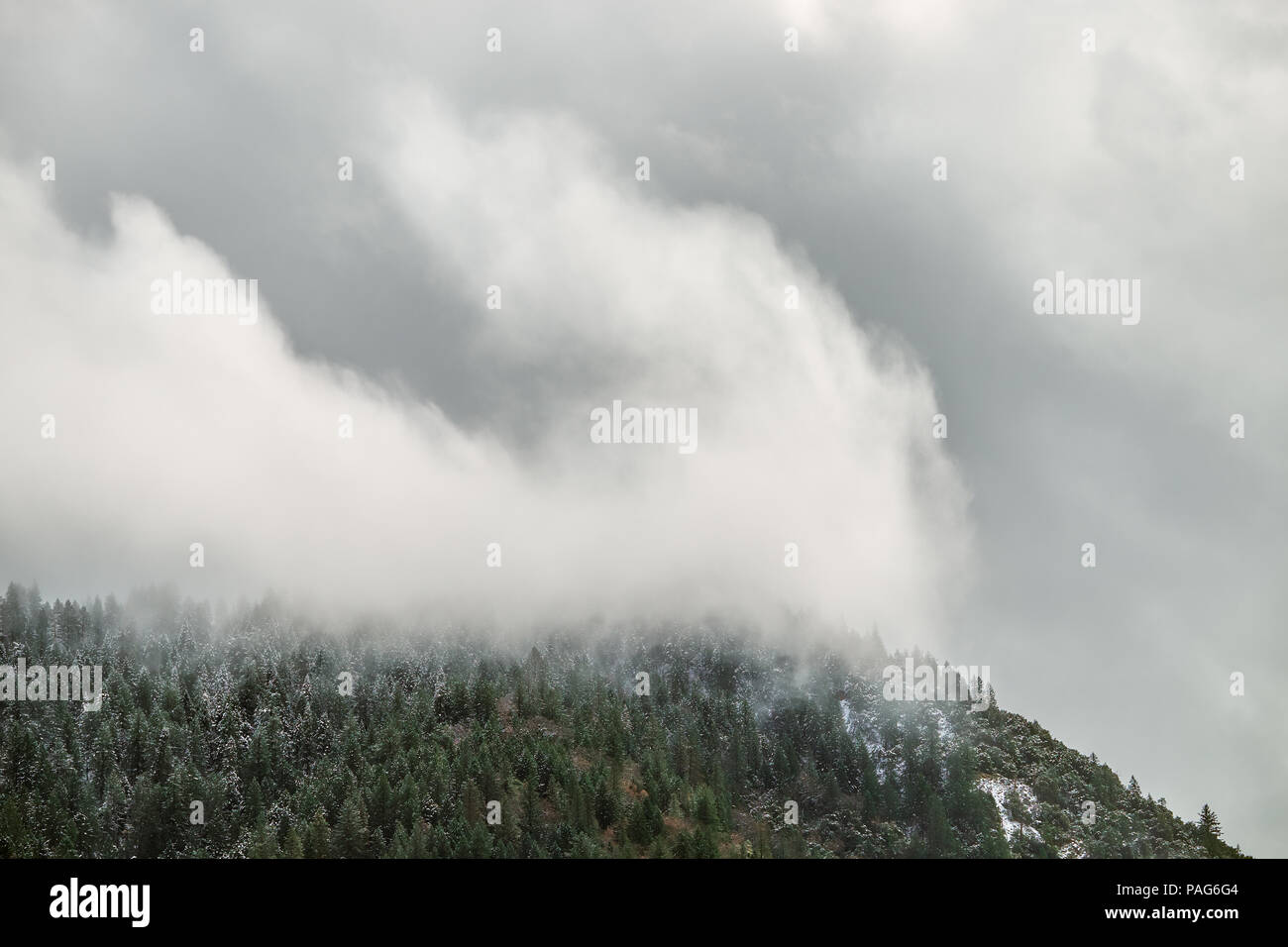 Feather RIver Canyon in Butte Country, California Stock Photo - Alamy