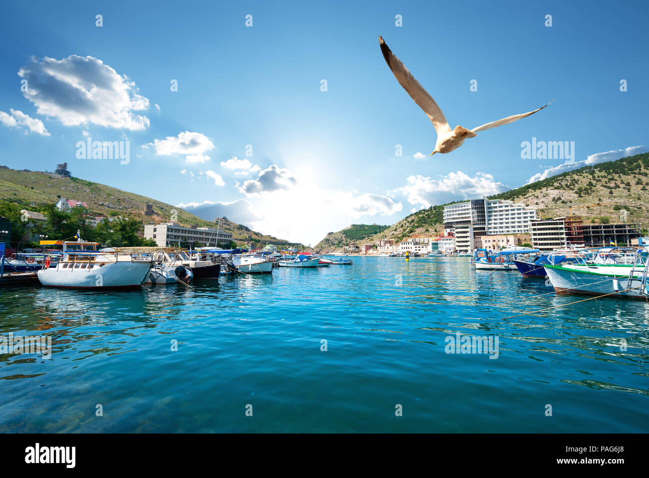 Balaclava harbor hi-res stock photography and images - Alamy