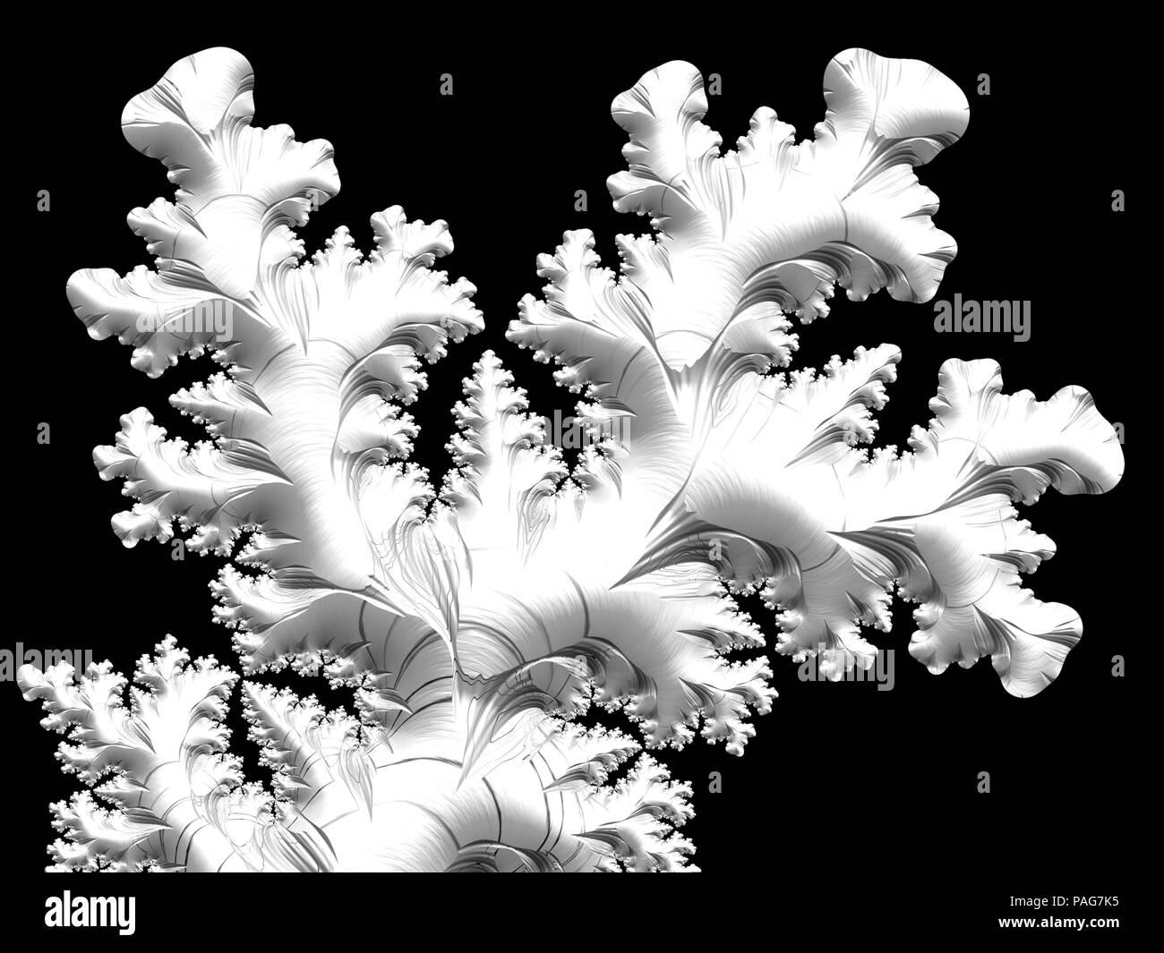 Black and White Fractal Leaf Stock Photo - Alamy