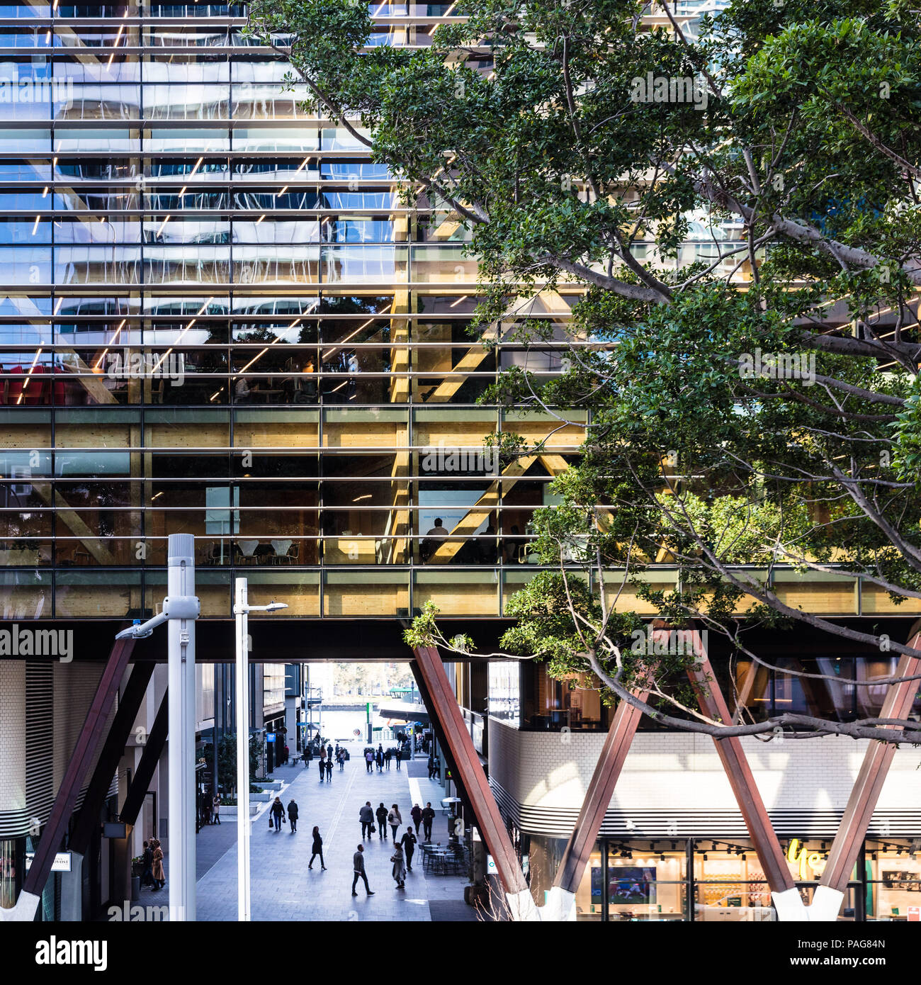 International house barangaroo hi-res stock photography and images - Alamy