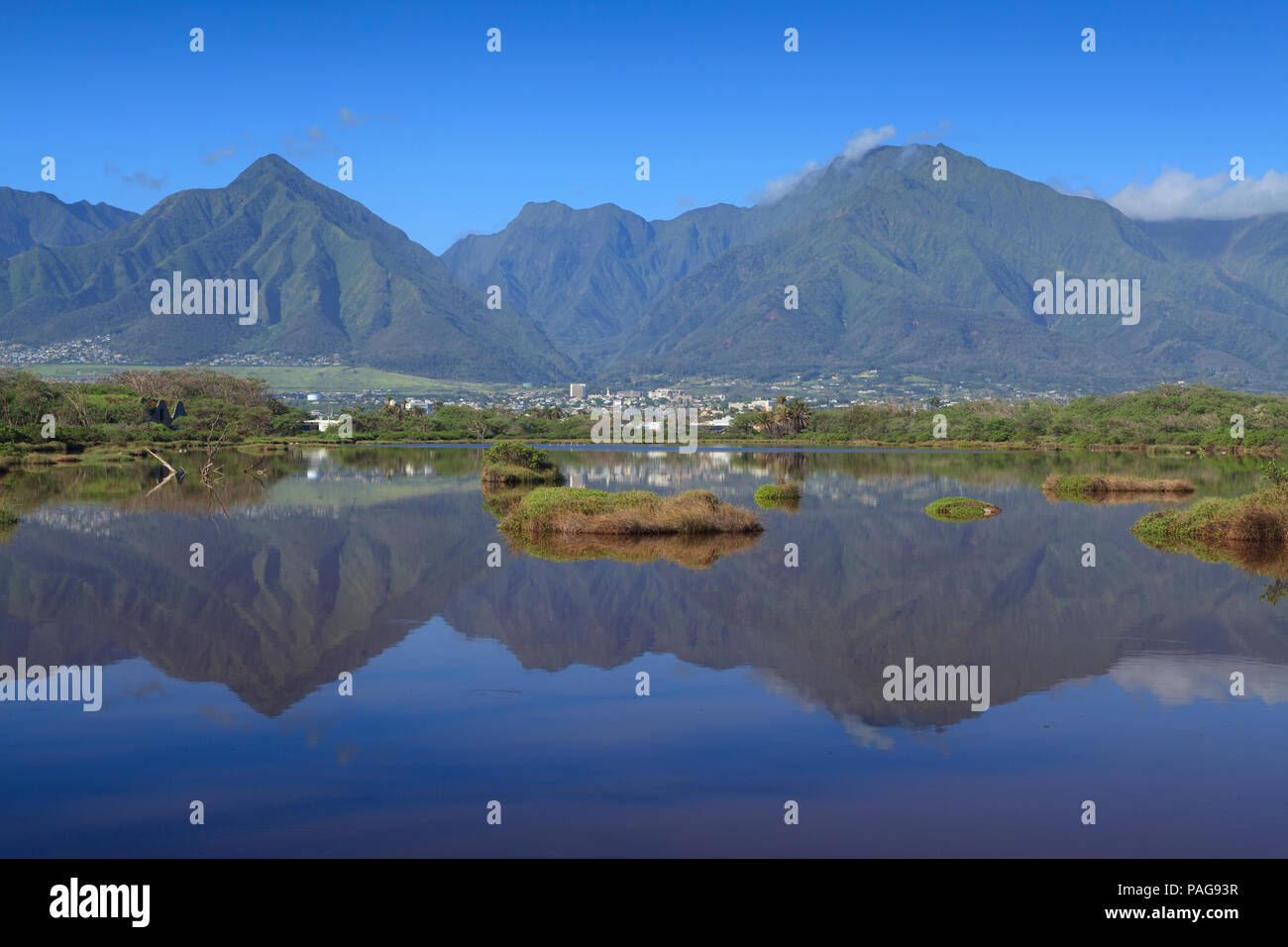 Kanaha pond hi-res stock photography and images - Alamy