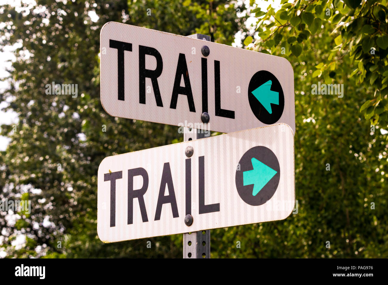 Double trail sign on a post with blue arrows and trees Stock Photo - Alamy