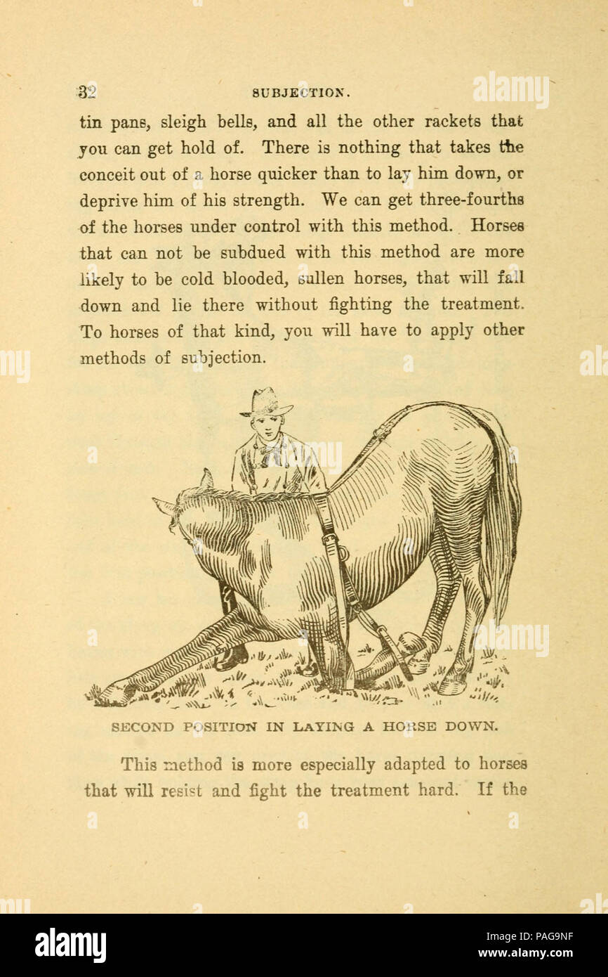 A practical system of colt training (Page 32 Stock Photo - Alamy