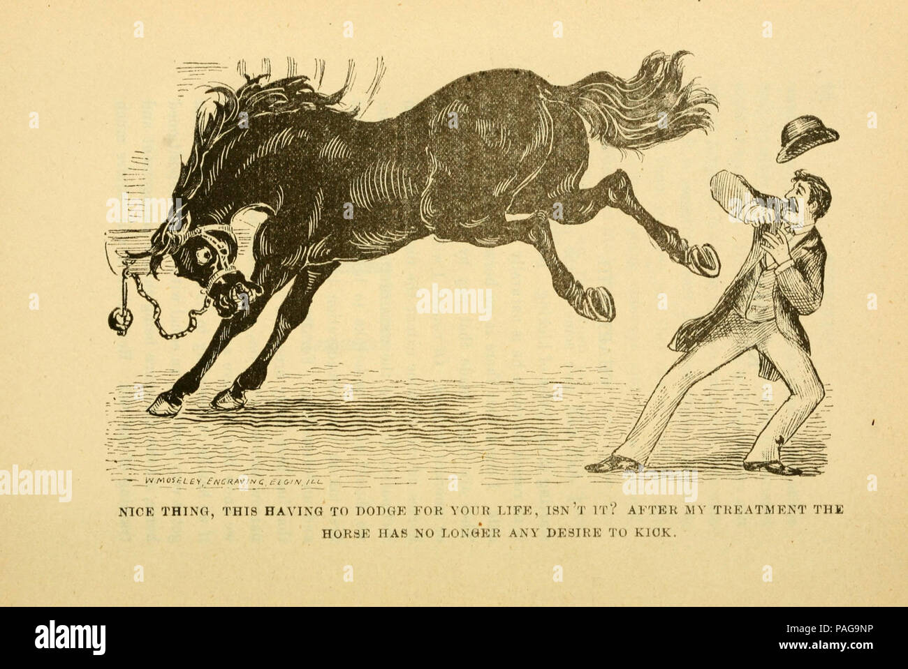 A practical system of colt training (Page 46 Stock Photo - Alamy