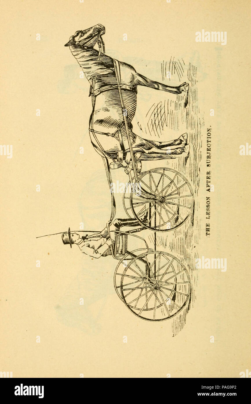A practical system of colt training (Page 54 Stock Photo - Alamy