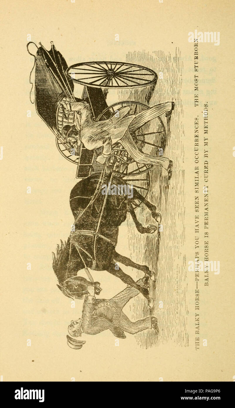 A practical system of colt training (Page 64 Stock Photo - Alamy