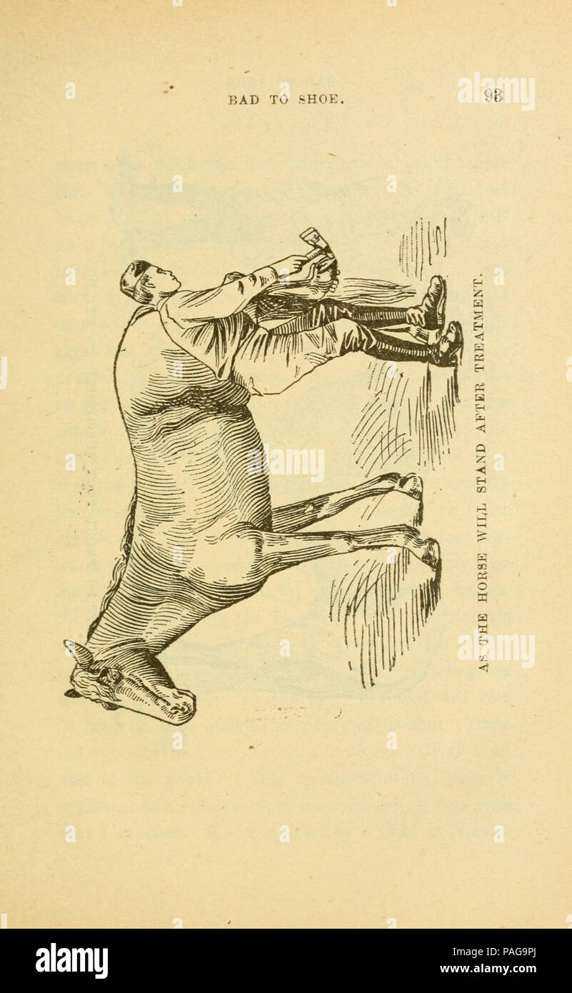 A practical system of colt training (Page 93 Stock Photo - Alamy