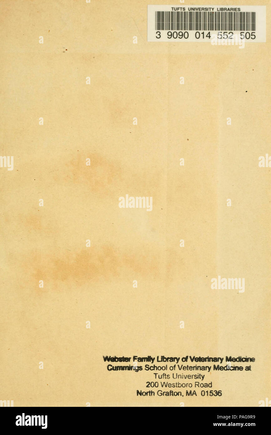 A practical system of colt training Stock Photo - Alamy