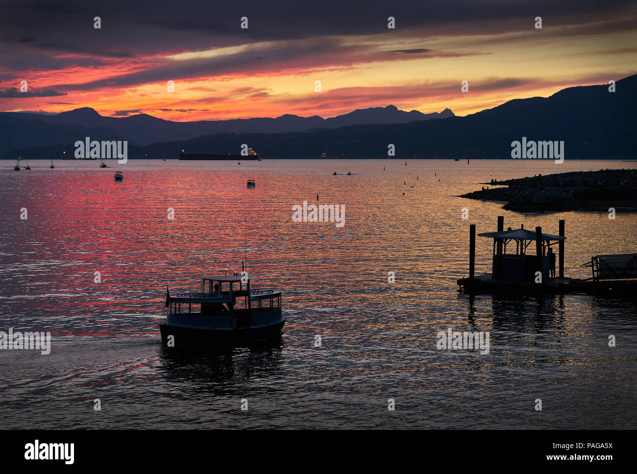 False Creek Ferry Dusk. Sunset on English Bay. A commuter ferry heads ...