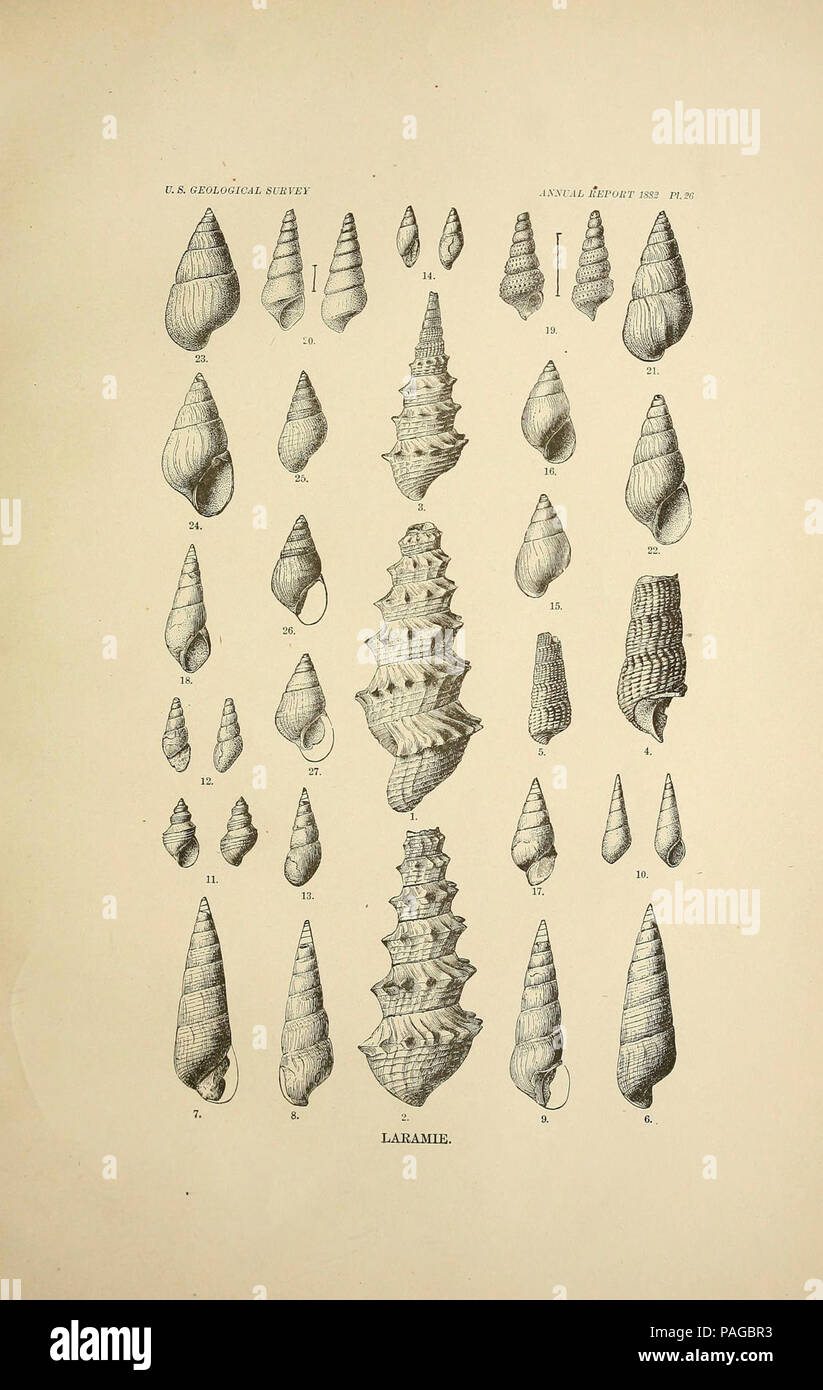 A review of the non-marine fossil mollusca of North America, Washington ...