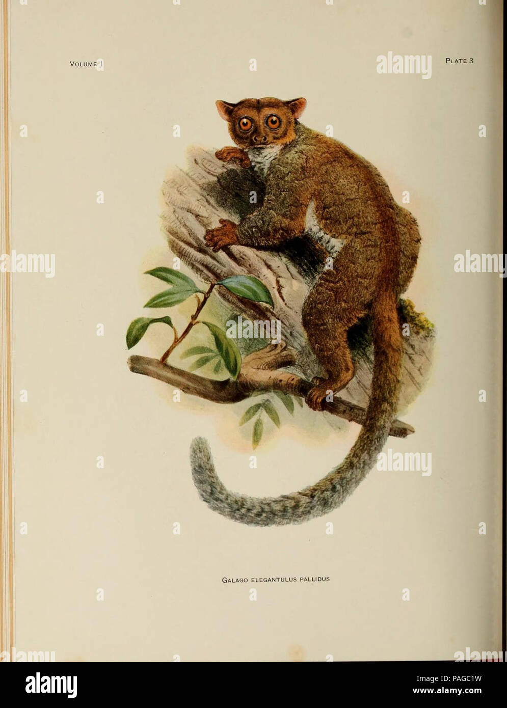 American art review hi-res stock photography and images - Alamy