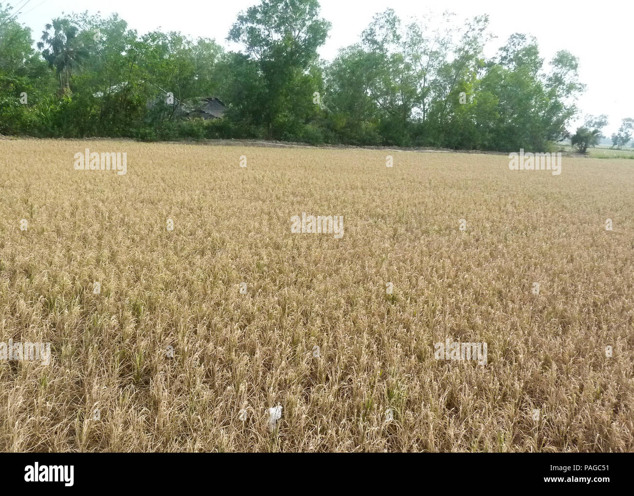Ben Tre Province High Resolution Stock Photography and Images - Alamy