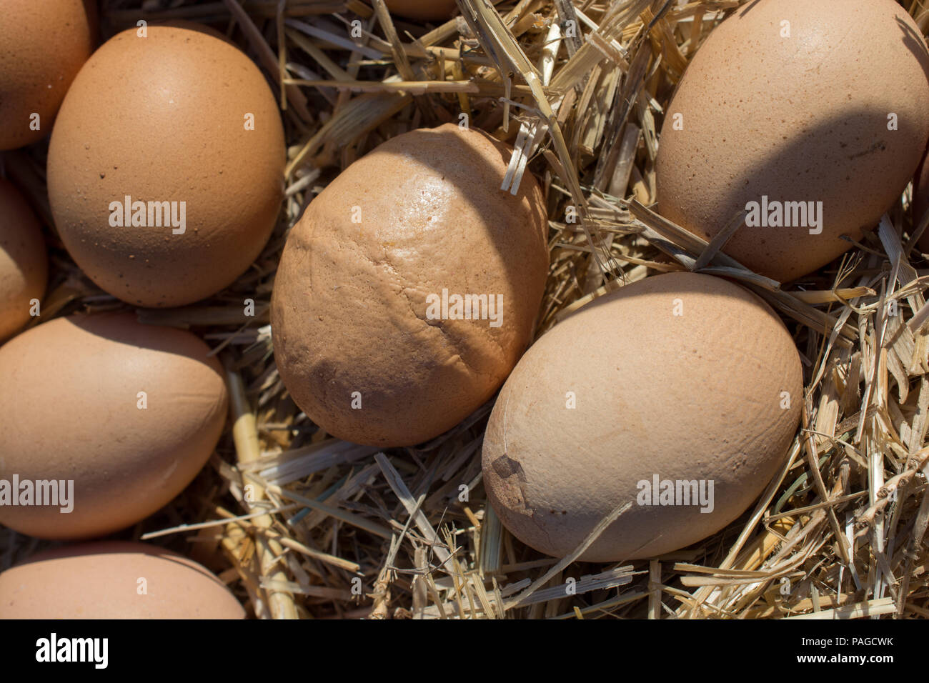 Organic fresh farm eggs at the market place Stock Photo - Alamy