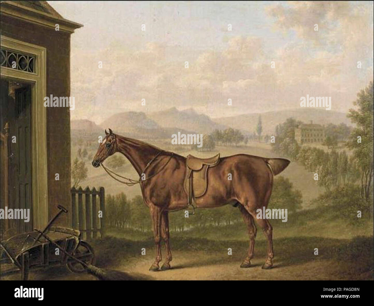 A saddled chestnut hunter in a landscape Stock Photo - Alamy