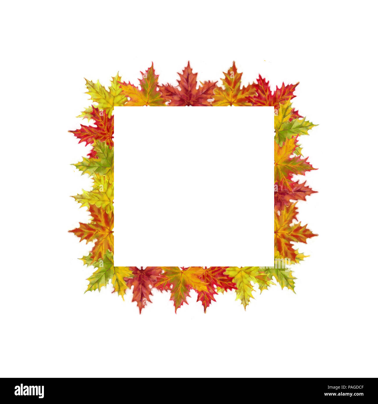 Autumn wreath maple leaves Cut Out Stock Images & Pictures - Alamy