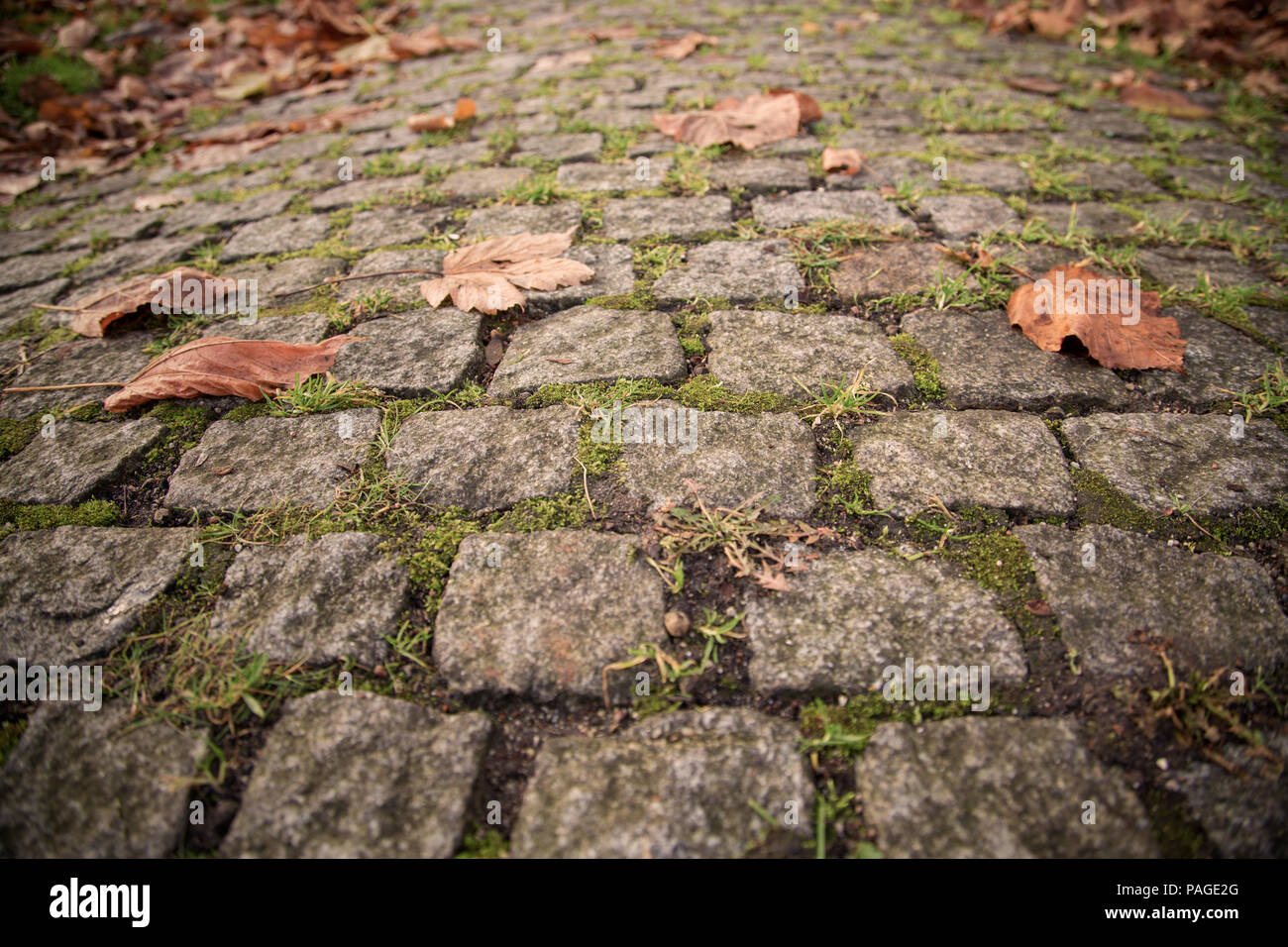 Rough cobbled path hi-res stock photography and images - Alamy