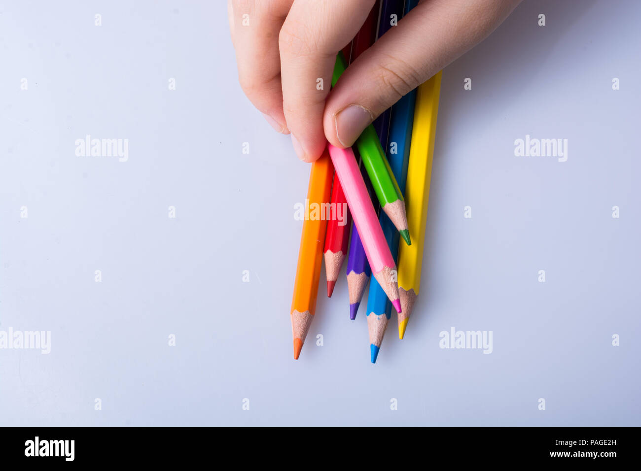 Hand holding color Pencils placed on a white background Stock Photo - Alamy