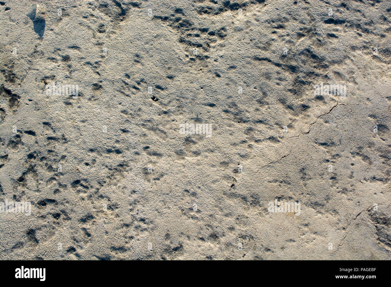 Wall surface as a simple background texture pattern Stock Photo - Alamy