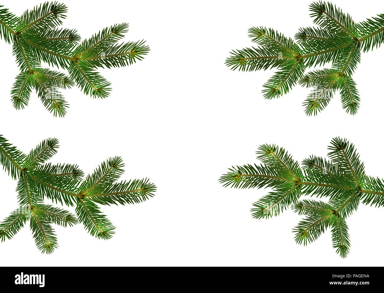 Four green realistic branches of fir or pine close-up with cones ...