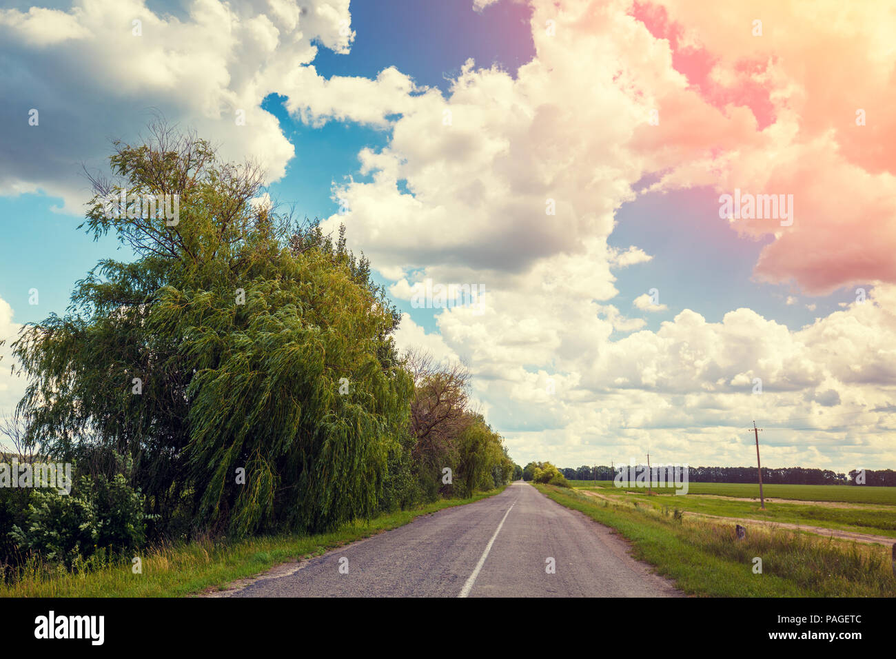 Country road with trees and beautiful cloudy sky in a sunny day Stock ...