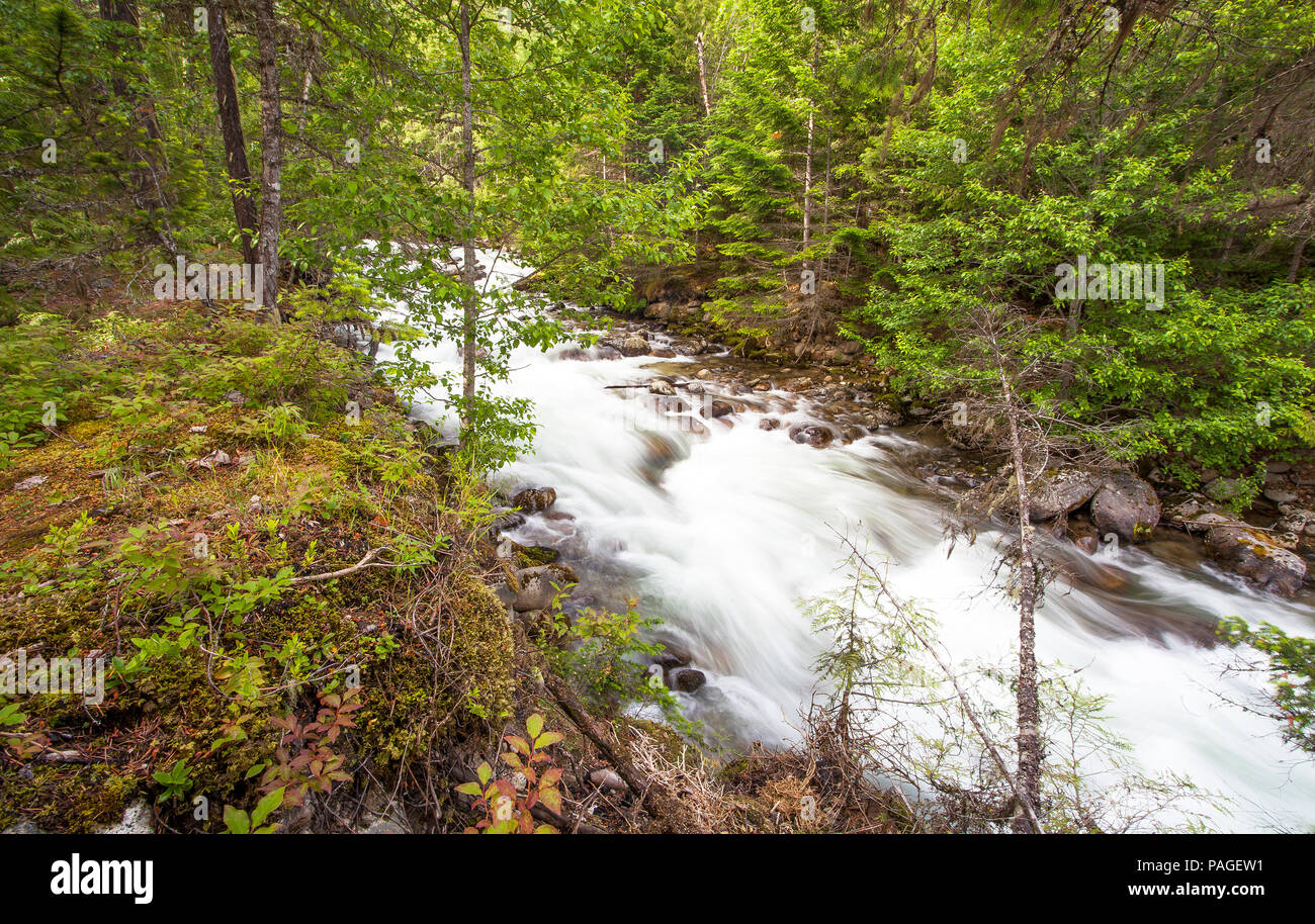 Lower lillooet river hi-res stock photography and images - Alamy