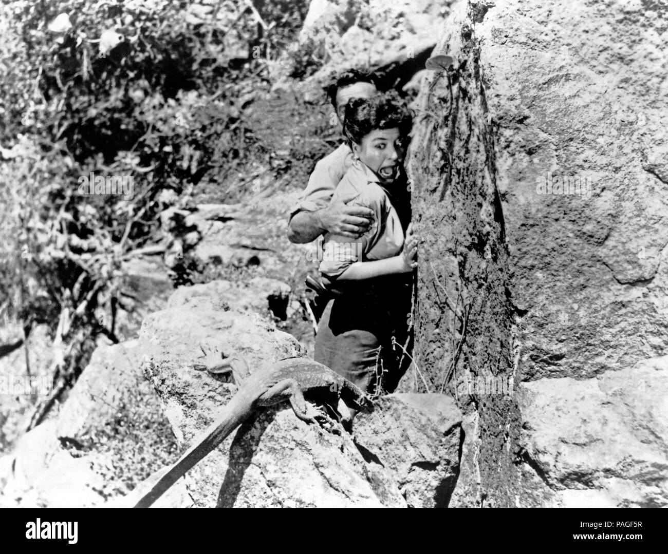 P vera hi-res stock photography and images - Alamy