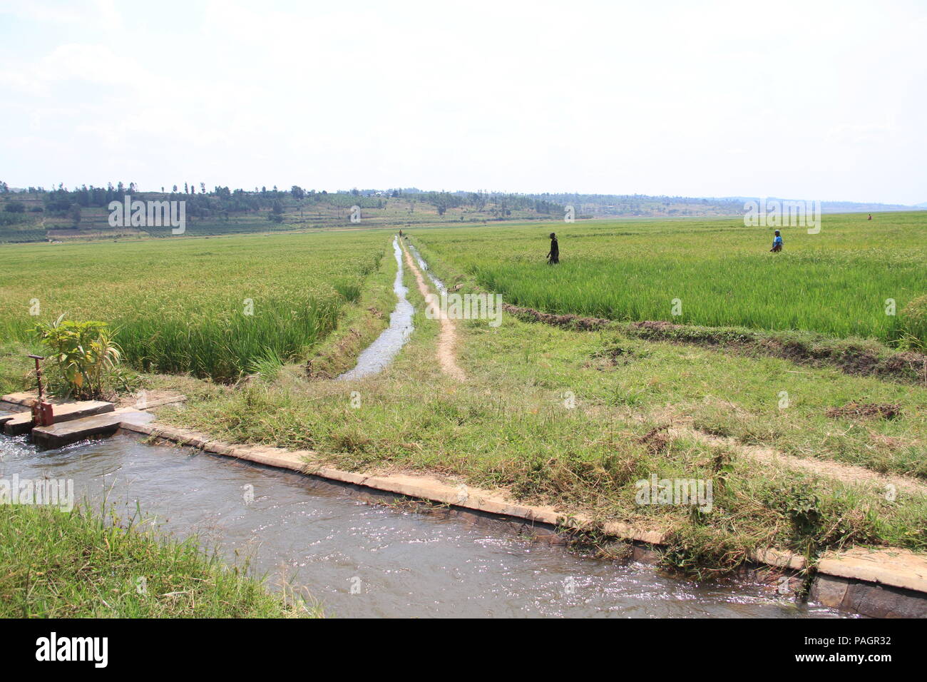Eastern Province. 13th July, 2018. Photo taken on July 13, 2018 shows a ...