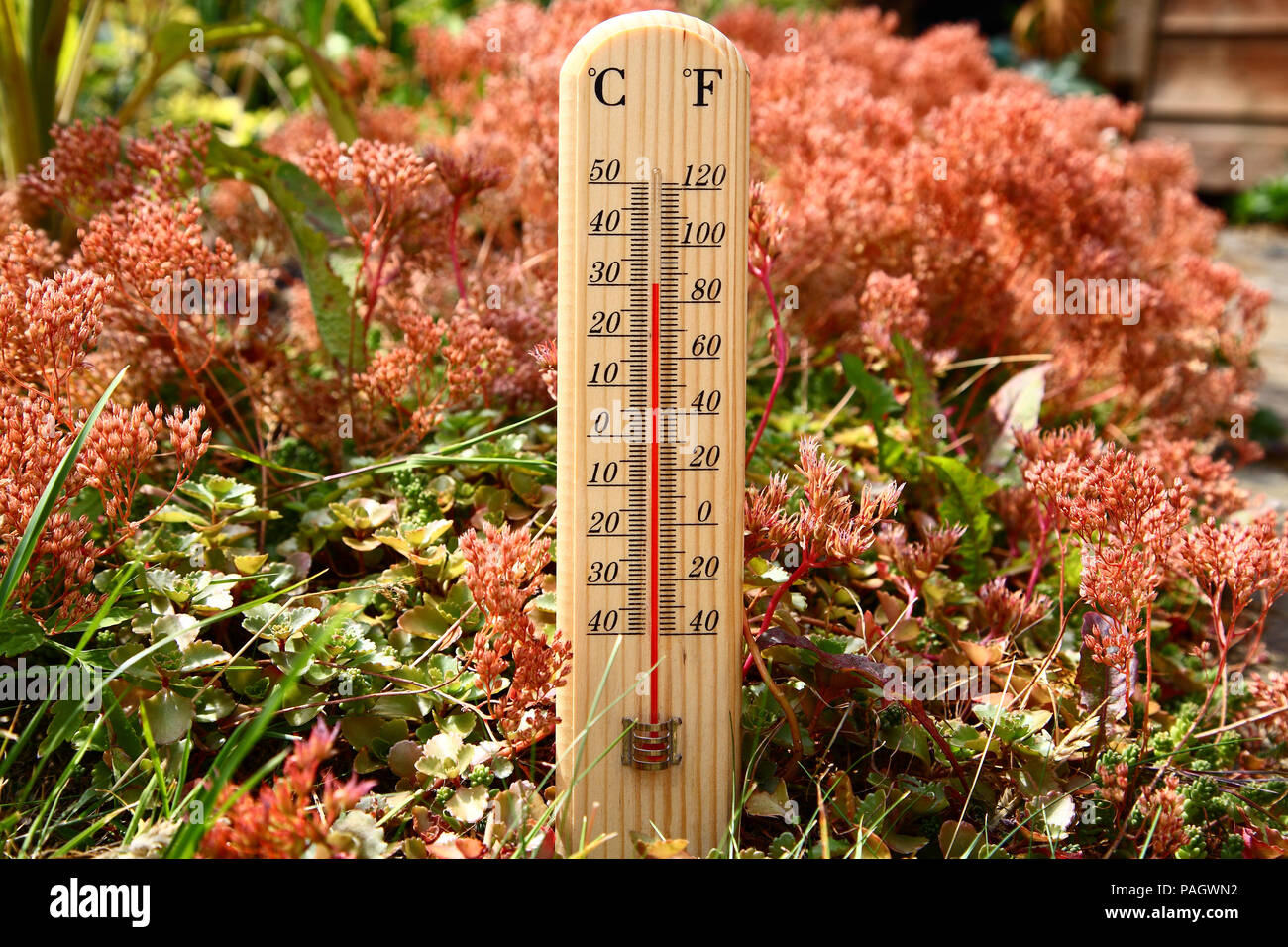 86 fahrenheit hi-res stock photography and images - Alamy