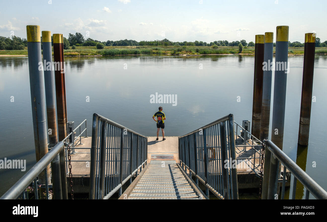 23 July 2018, Germany, Lebus: The water levels of the German-Polish ...