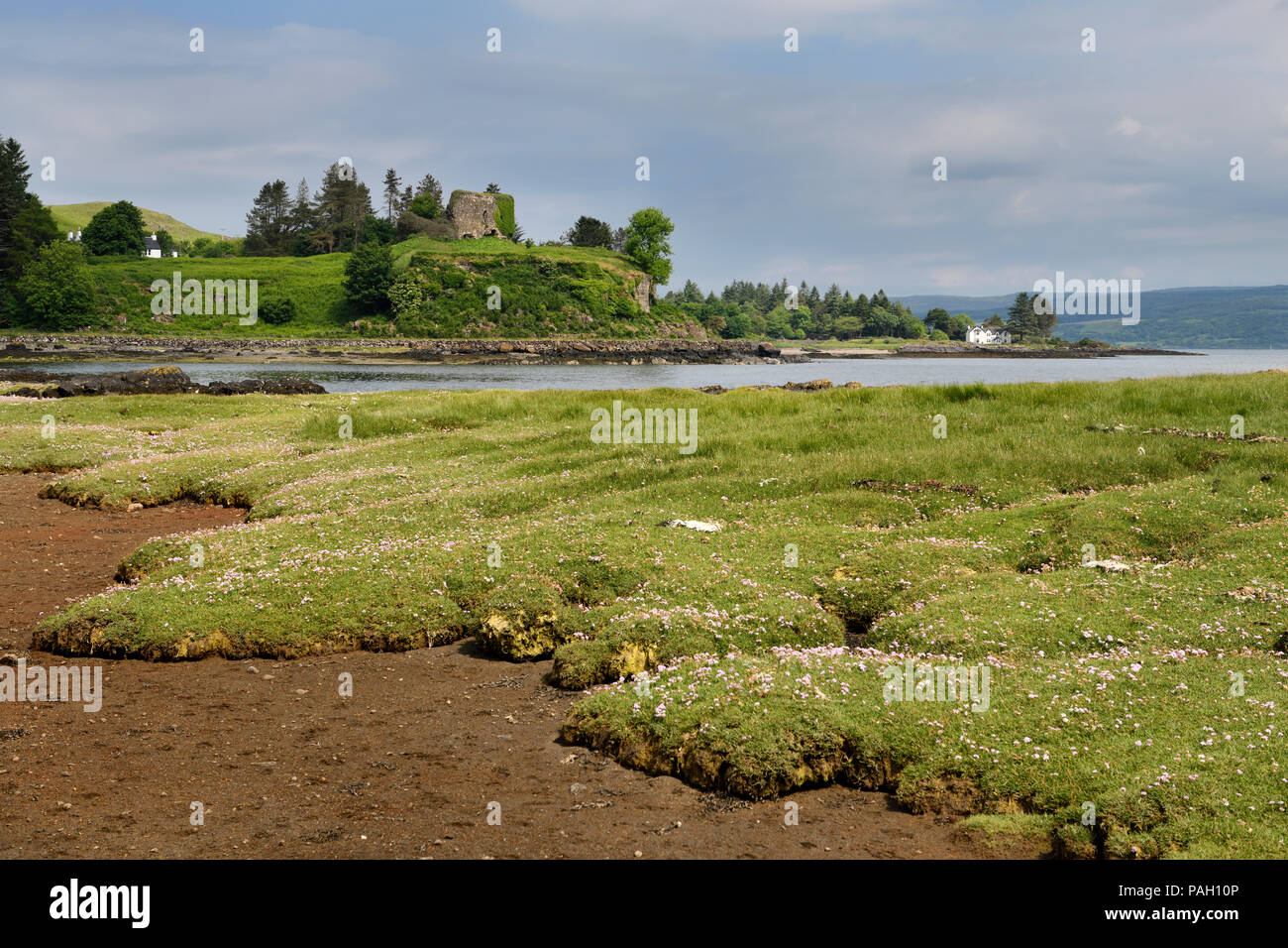 Salt marsh scotland hi-res stock photography and images - Alamy