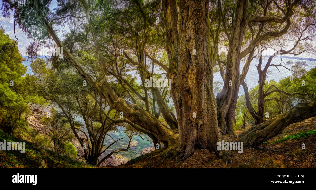DIGITAL ART: Woodlands along Tor Bay, Devon, England (HDR Image Stock ...